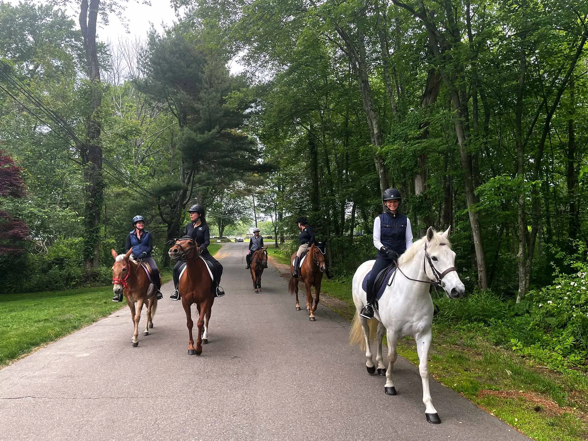 June Group Trail Ride — Fairfield Bridle Trails Association