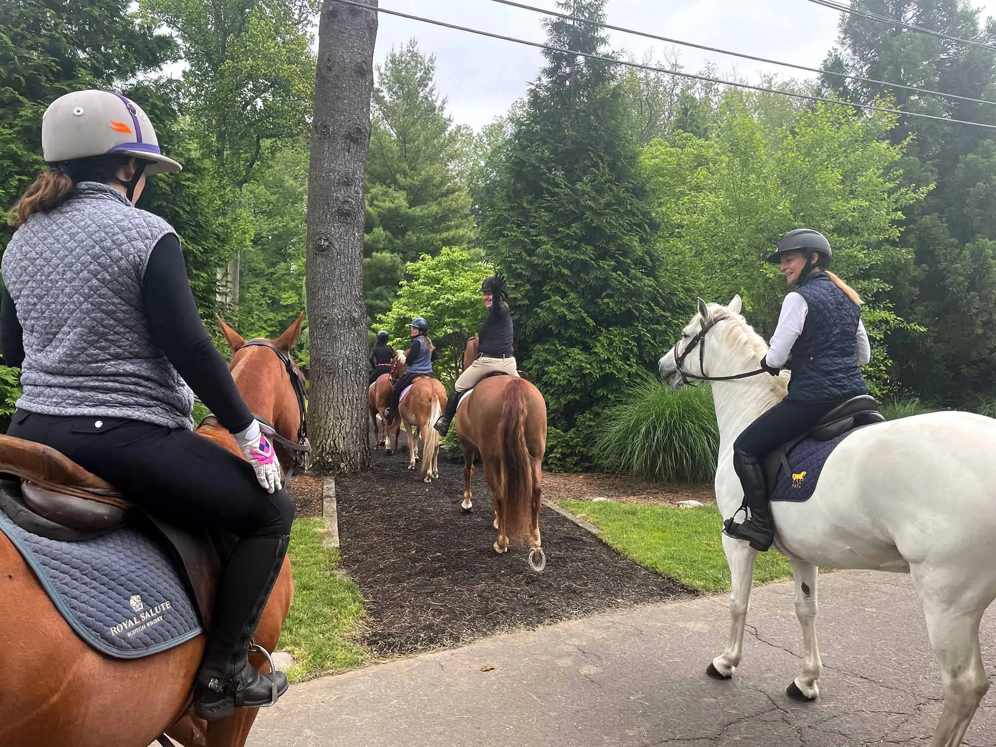 June Group Trail Ride — Fairfield Bridle Trails Association