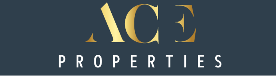 Portfolio — Ace Properties