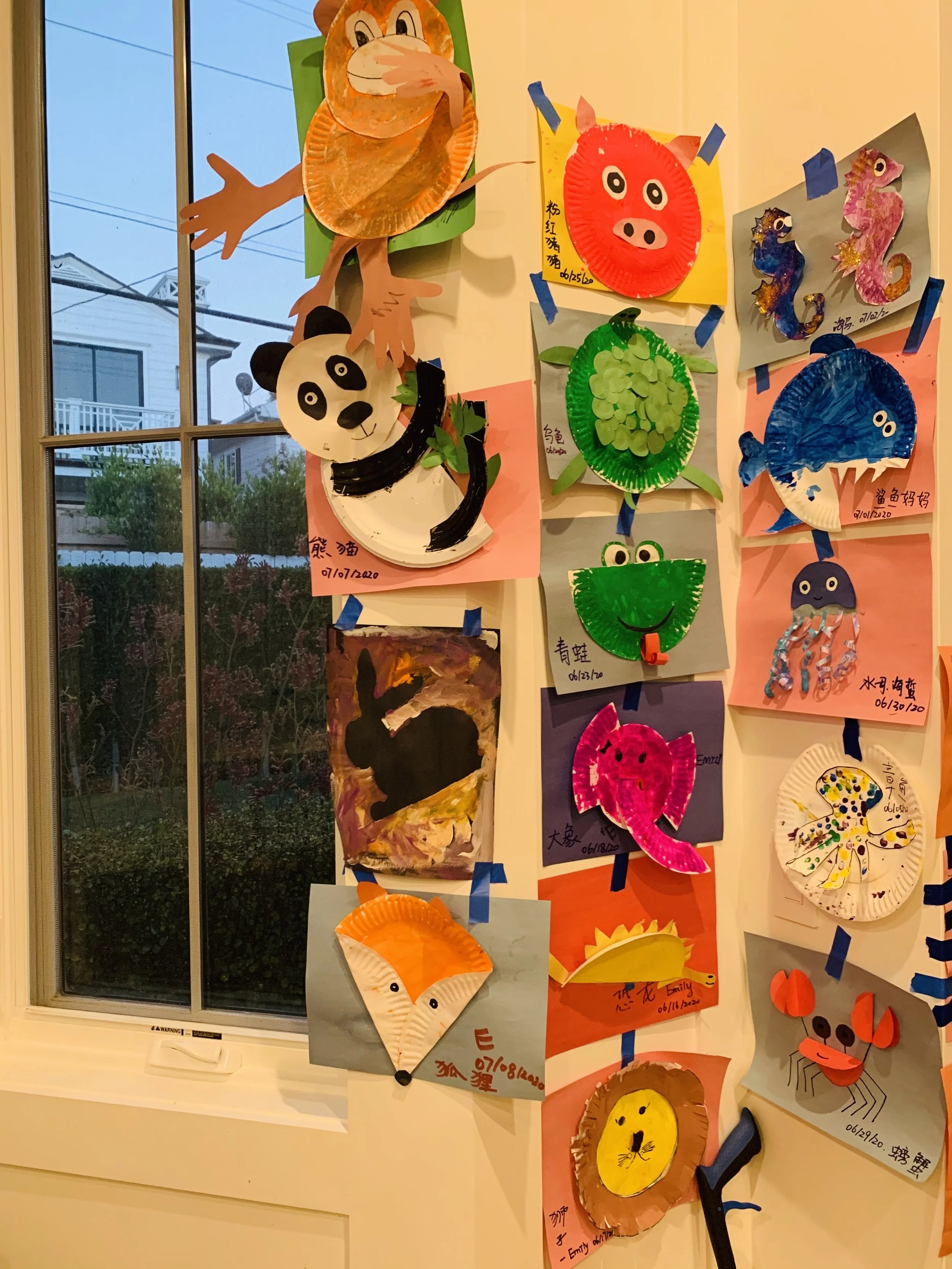 PURPLE MAGPIE MANDARIN