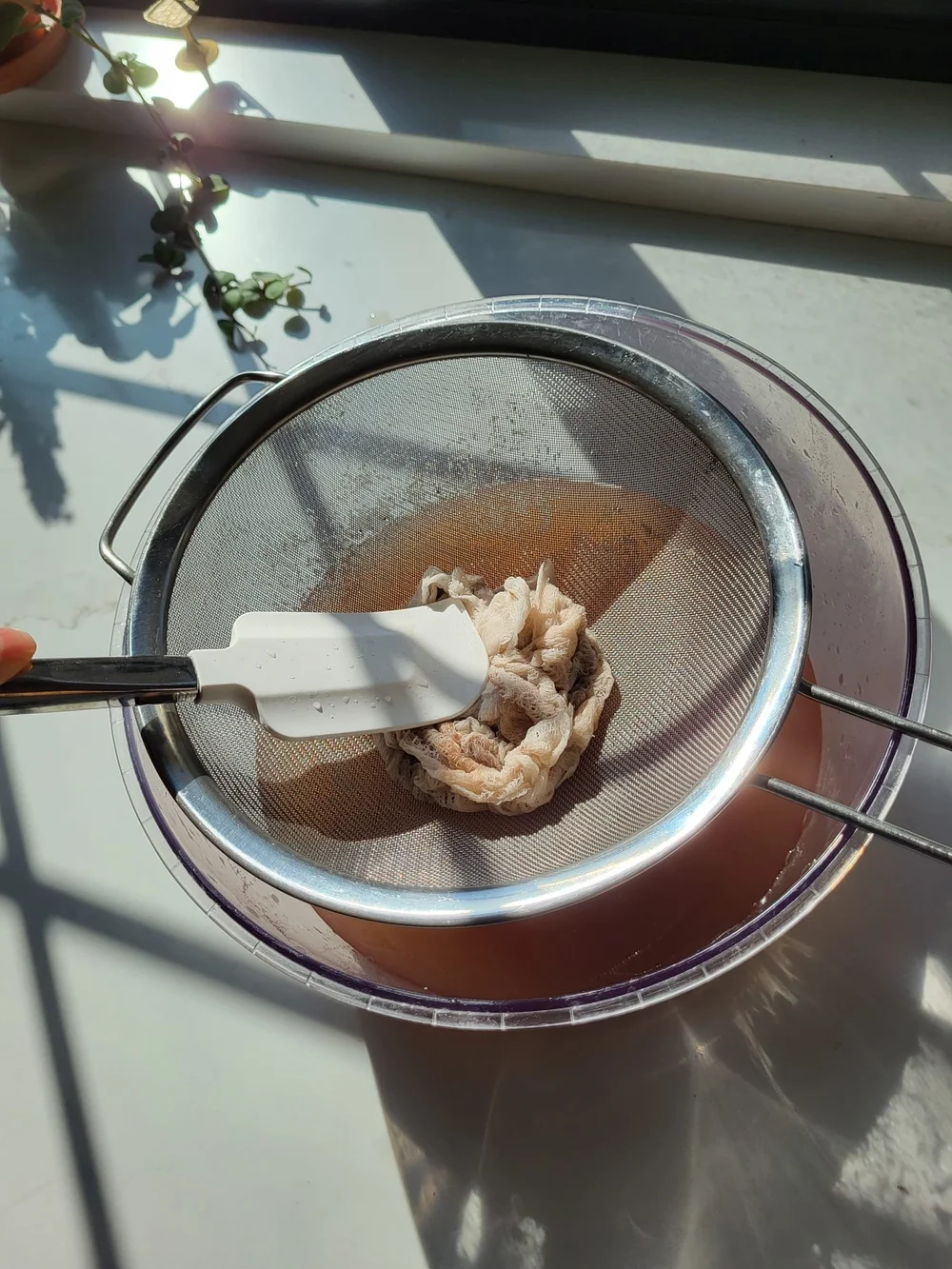 How to Make Spooky Apple Cider — The Kwendy Home