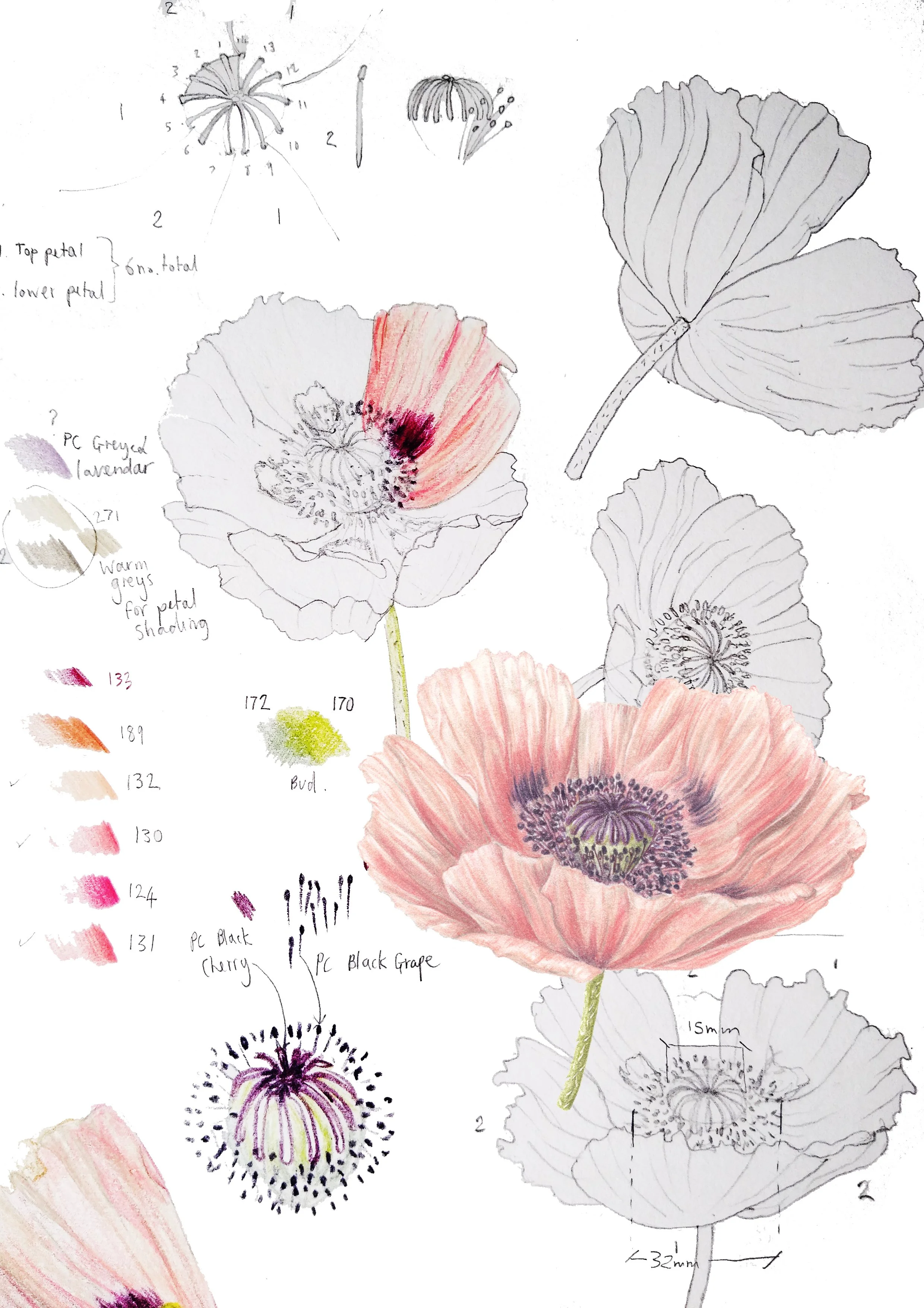 Tuition — Vicky Hallam Designs