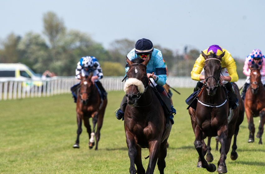Highclere Thoroughbred Racing - Older Horses — Highclere Thoroughbred ...