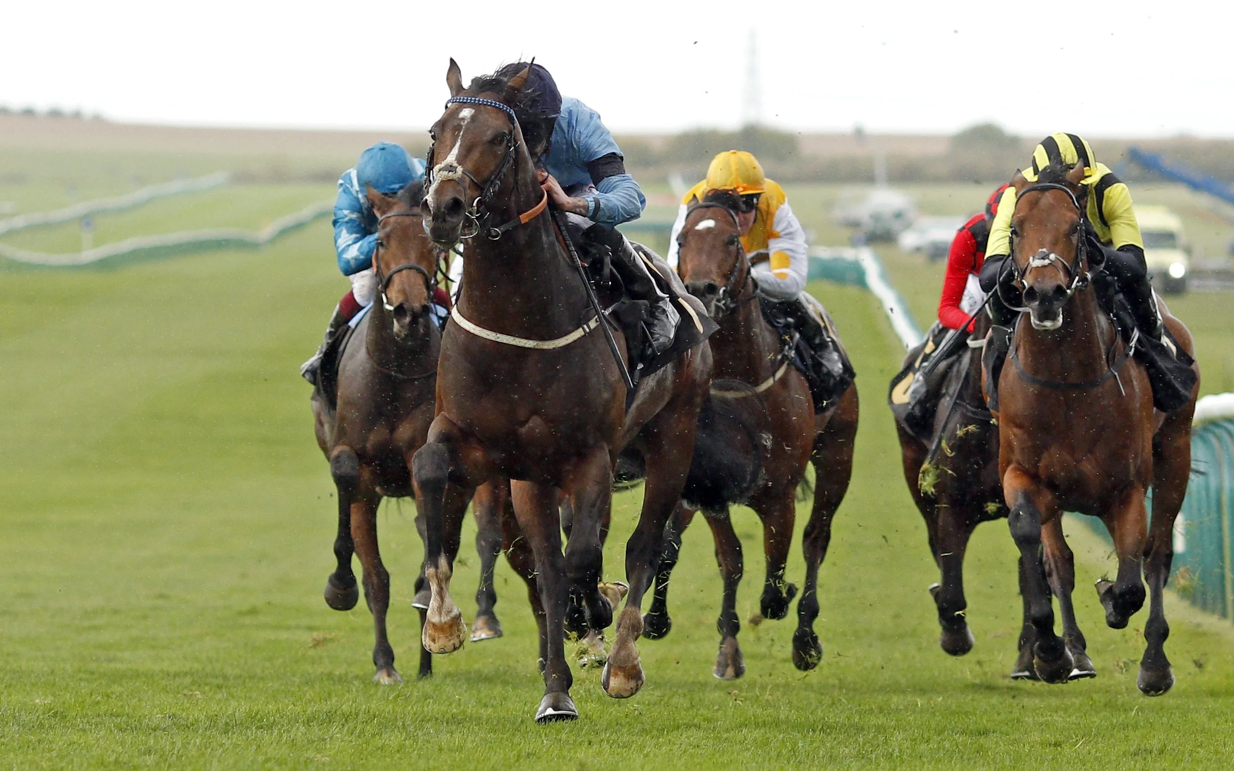 Highclere Thoroughbred Racing - Older Horses — Highclere Thoroughbred ...