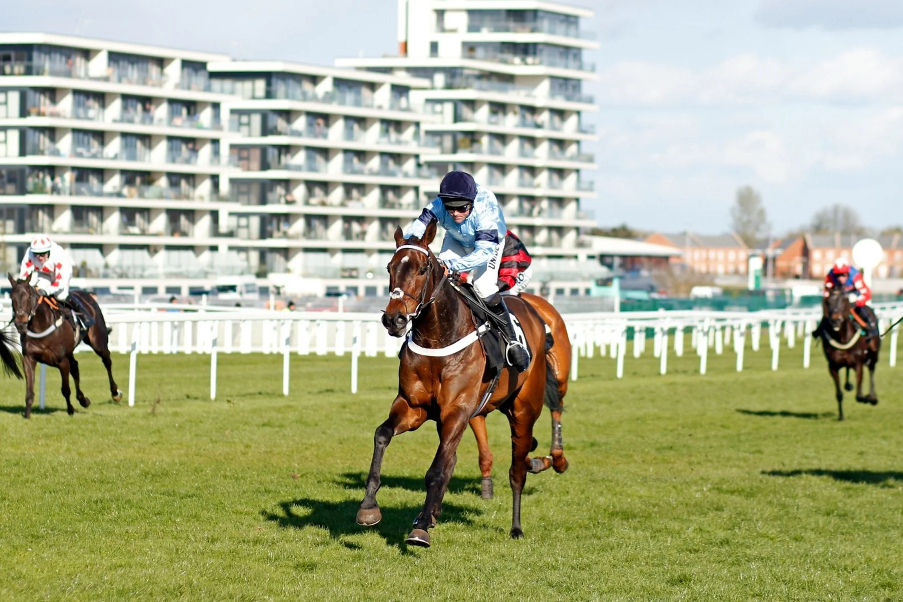 National Hunt Horses — Highclere Thoroughbred Racing