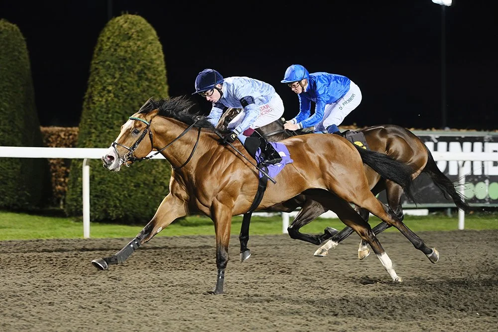 News — Highclere Thoroughbred Racing