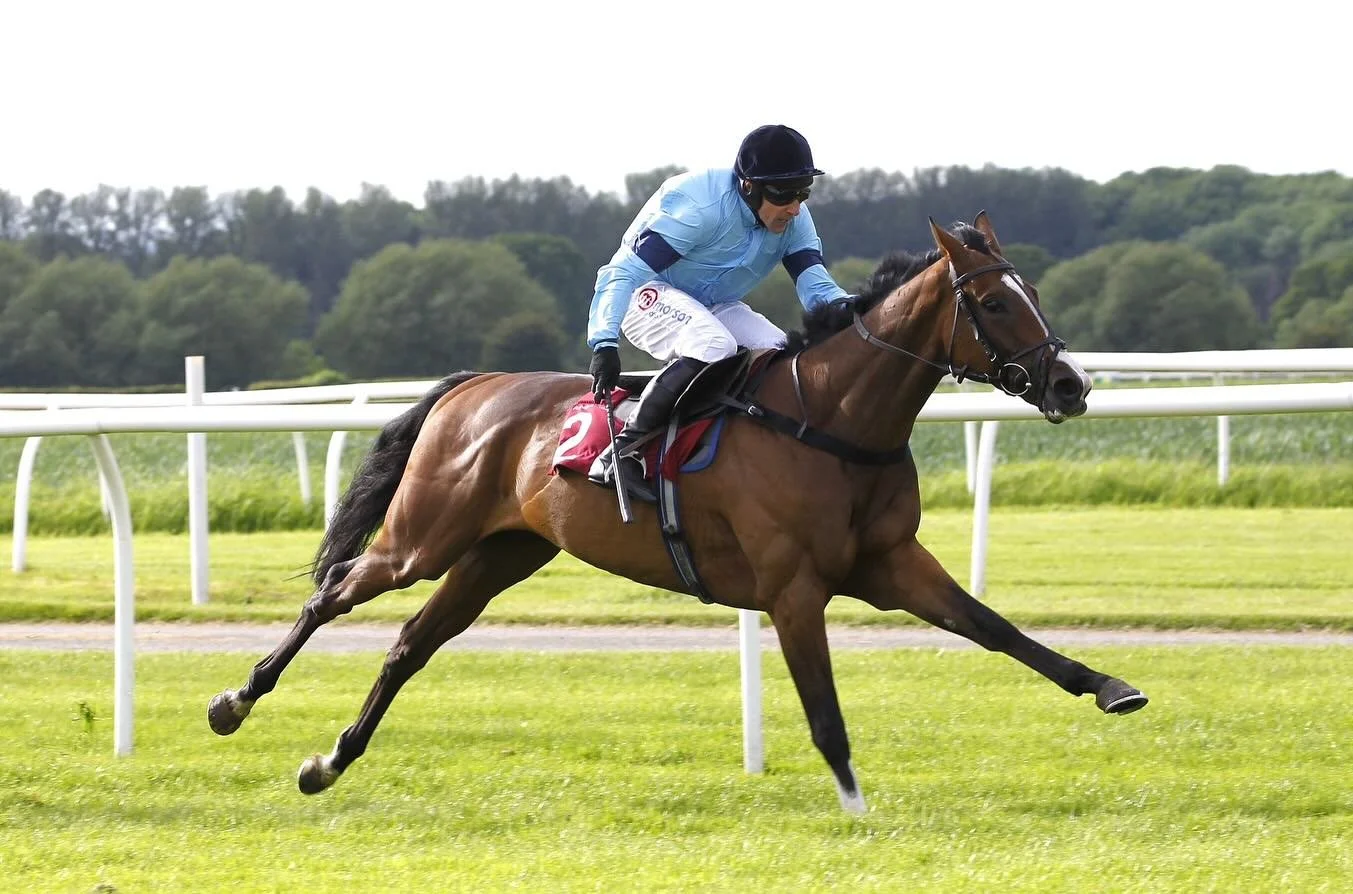 Highclere Thoroughbred Racing