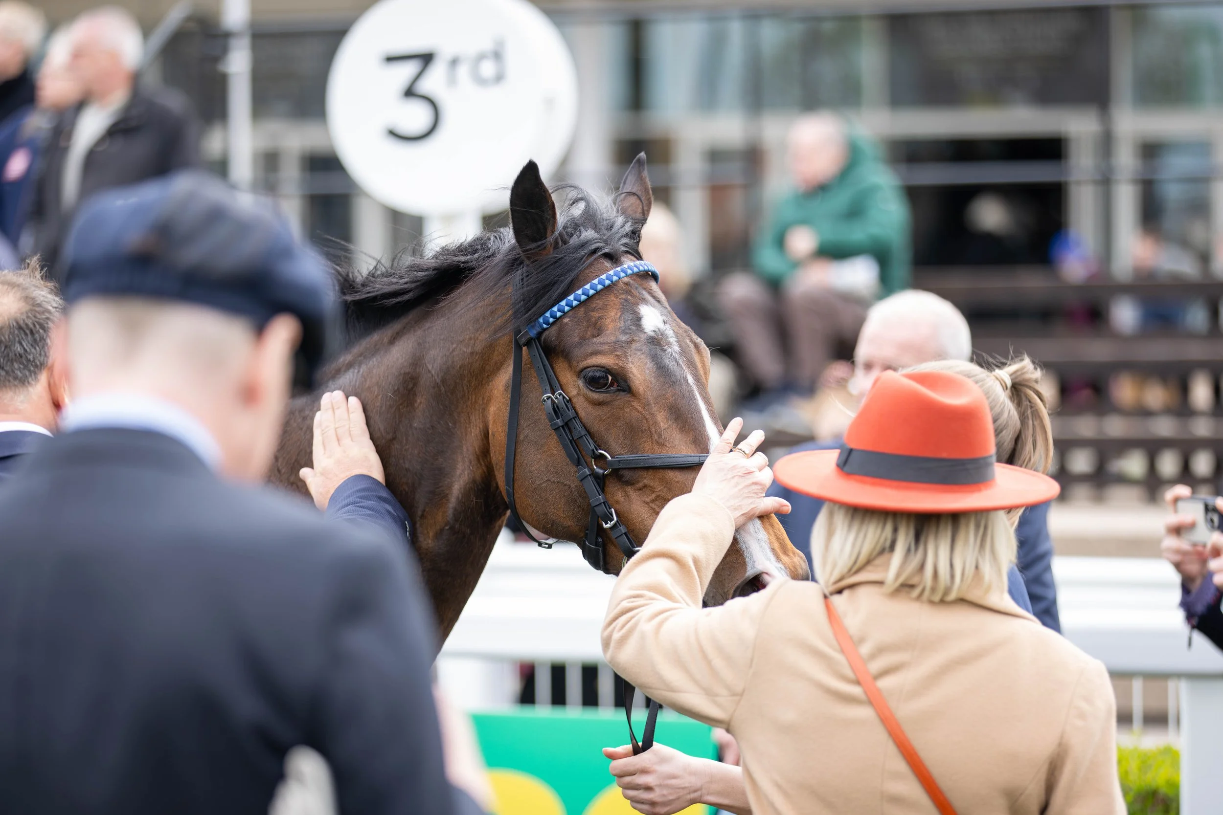 What We Do — Highclere Thoroughbred Racing