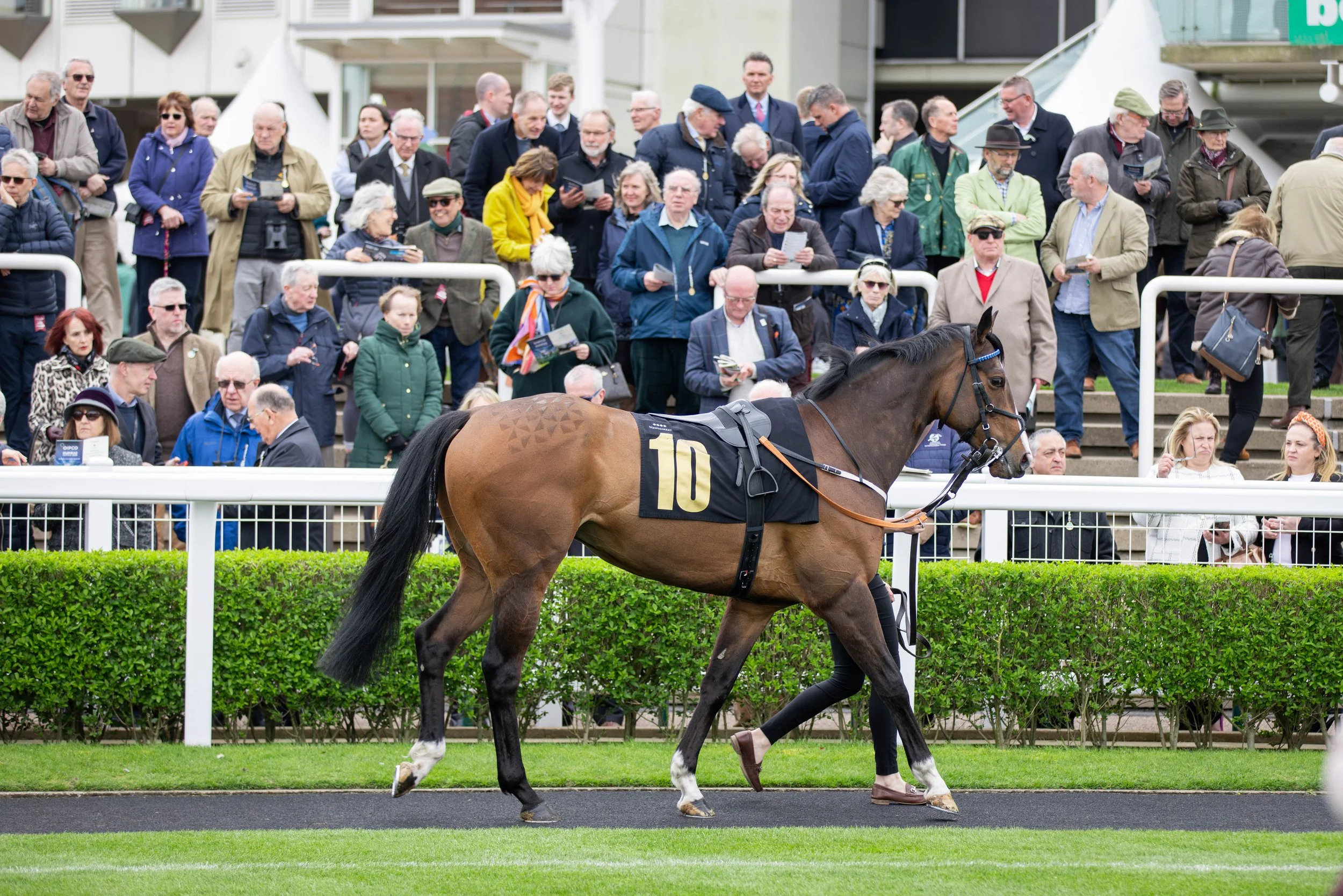 What We Do — Highclere Thoroughbred Racing