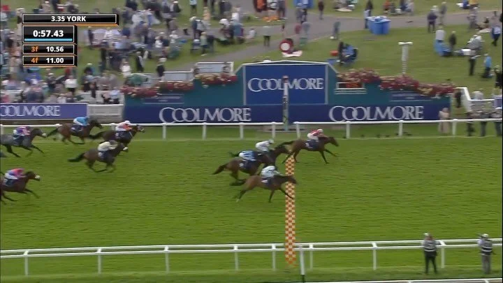 Highclere Thoroughbred Racing