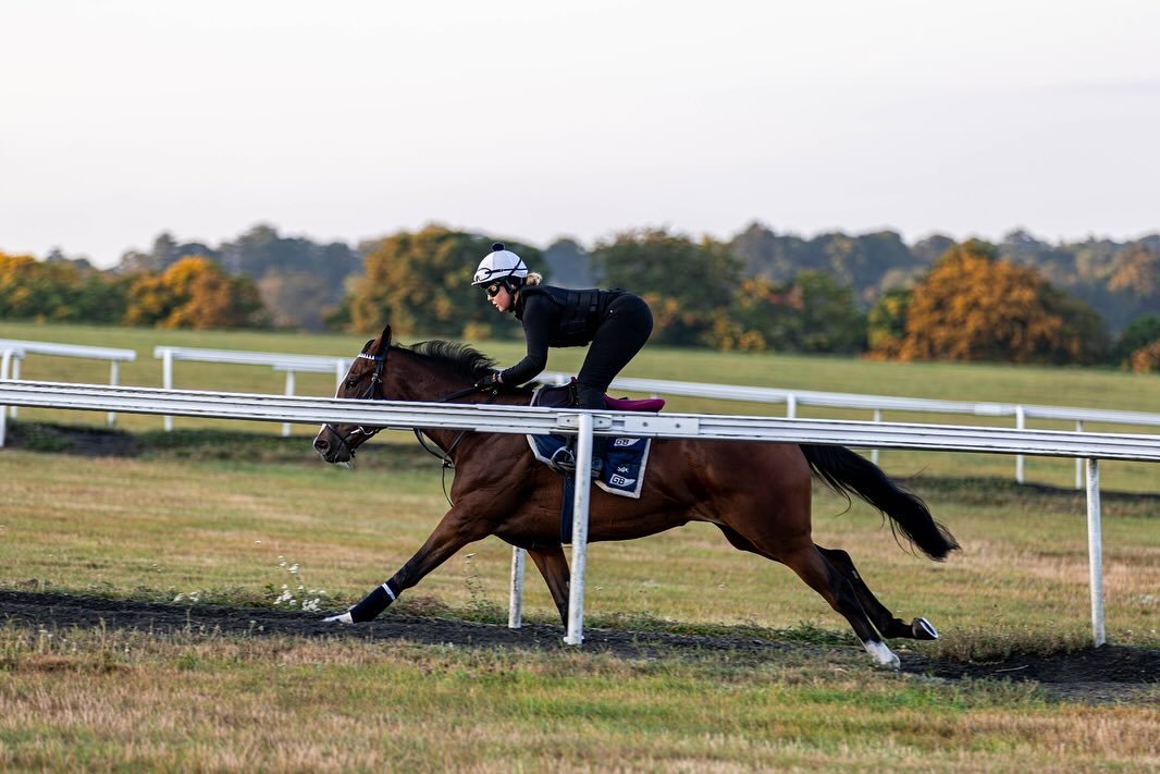 Highclere Thoroughbred Racing