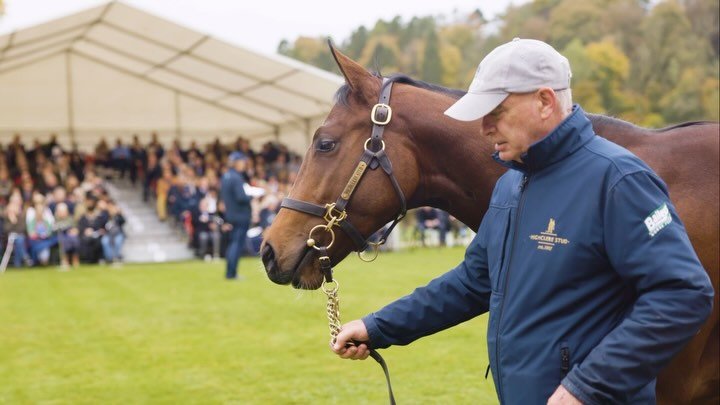 Highclere Thoroughbred Racing