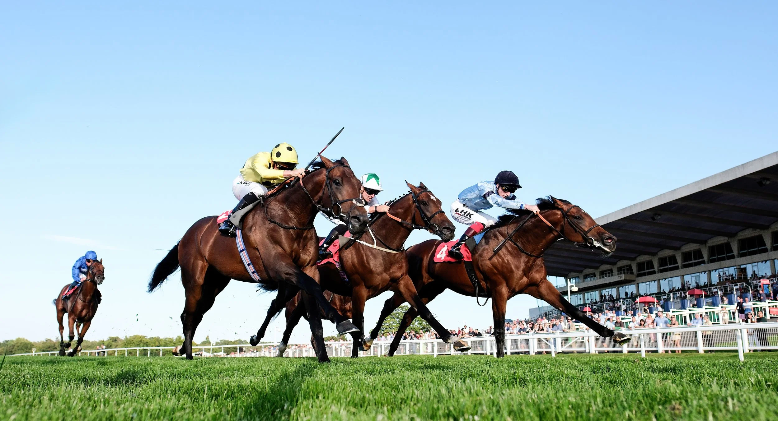 What We Do — Highclere Thoroughbred Racing