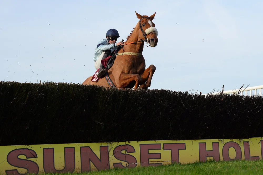FEBRUARY 2024 — Highclere Thoroughbred Racing