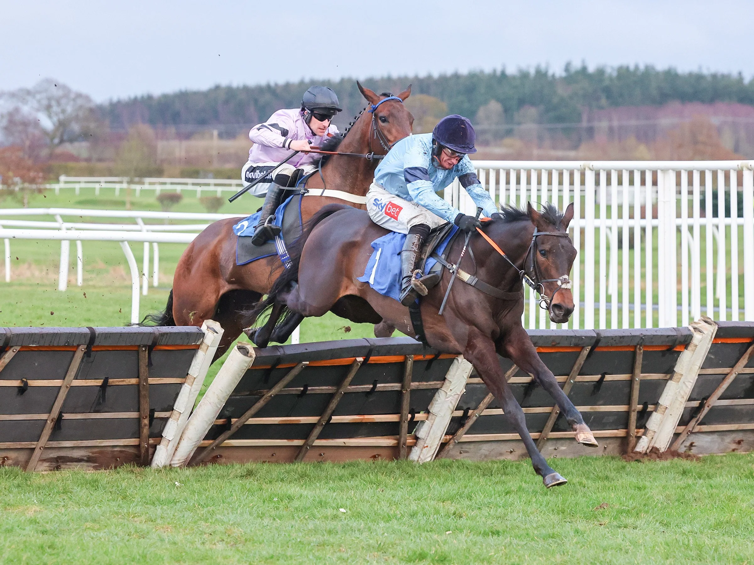 FEBRUARY 2024 — Highclere Thoroughbred Racing