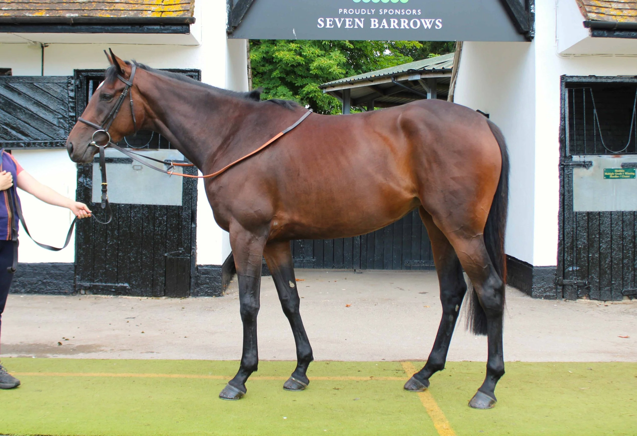 Madam Speaker — Highclere Thoroughbred Racing