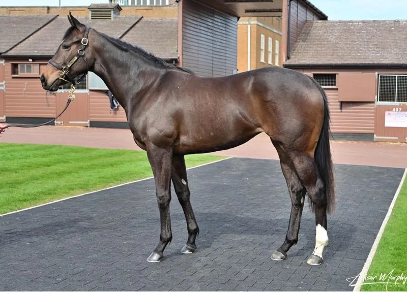 APRIL 2025 — Highclere Thoroughbred Racing