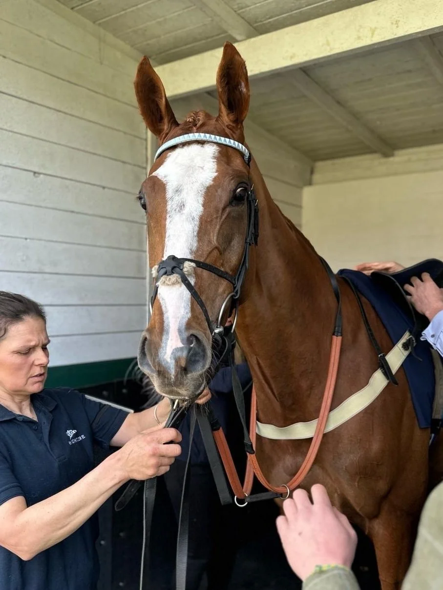 FEBRUARY 2025 — Highclere Thoroughbred Racing