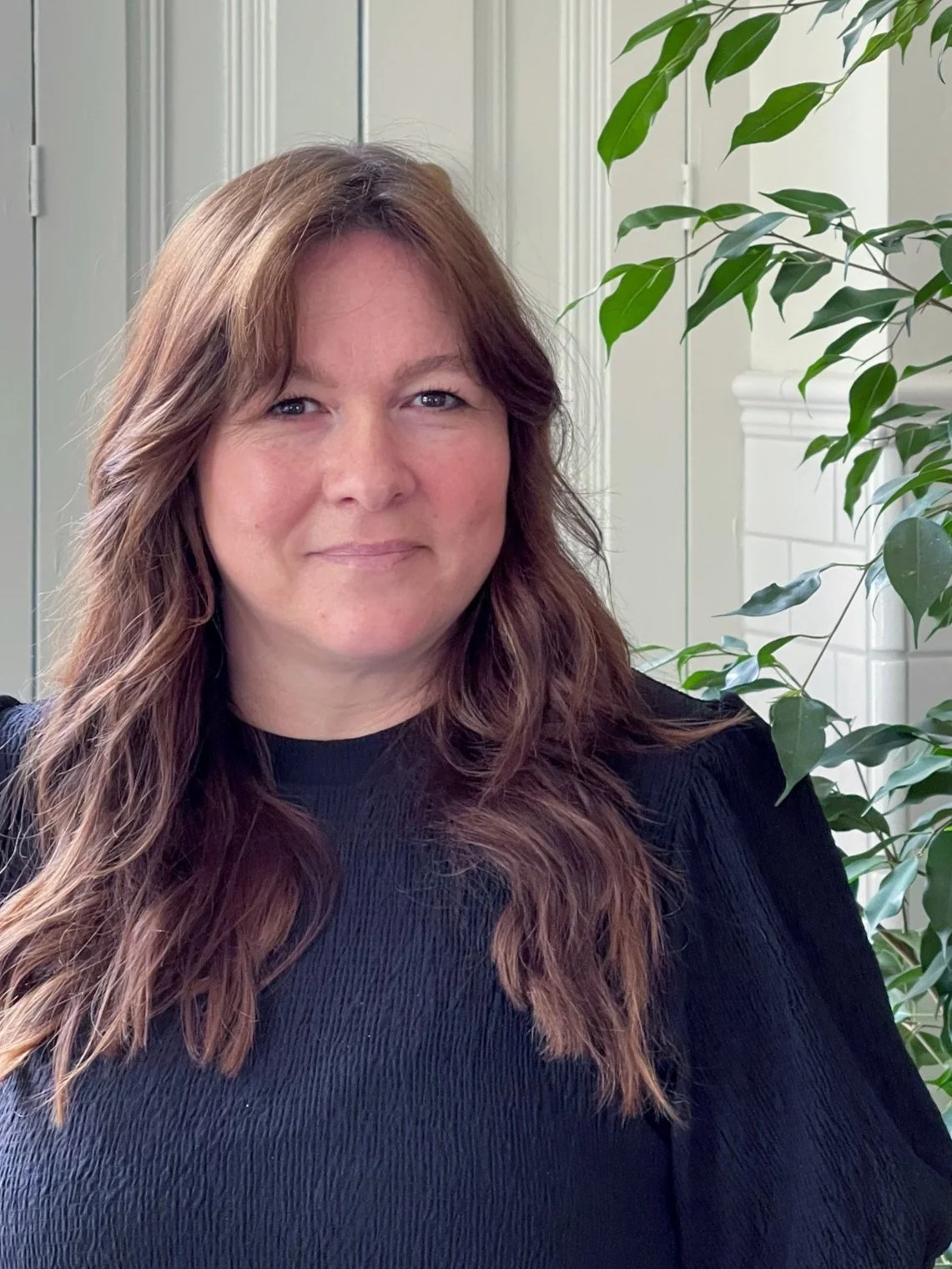 Fall Protection Equipment & Supply | Height Safety Systems — ALTUS