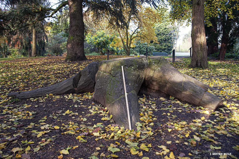 Evolution Garden — Sheffield Botanical Gardens Trust