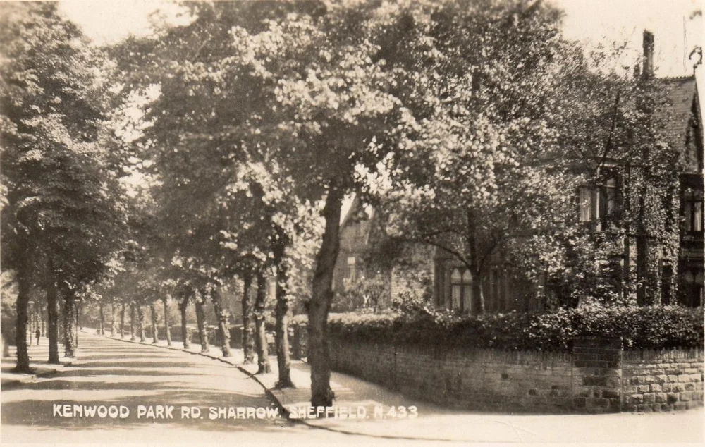 Marnock in Nether Edge — Sheffield Botanical Gardens Trust