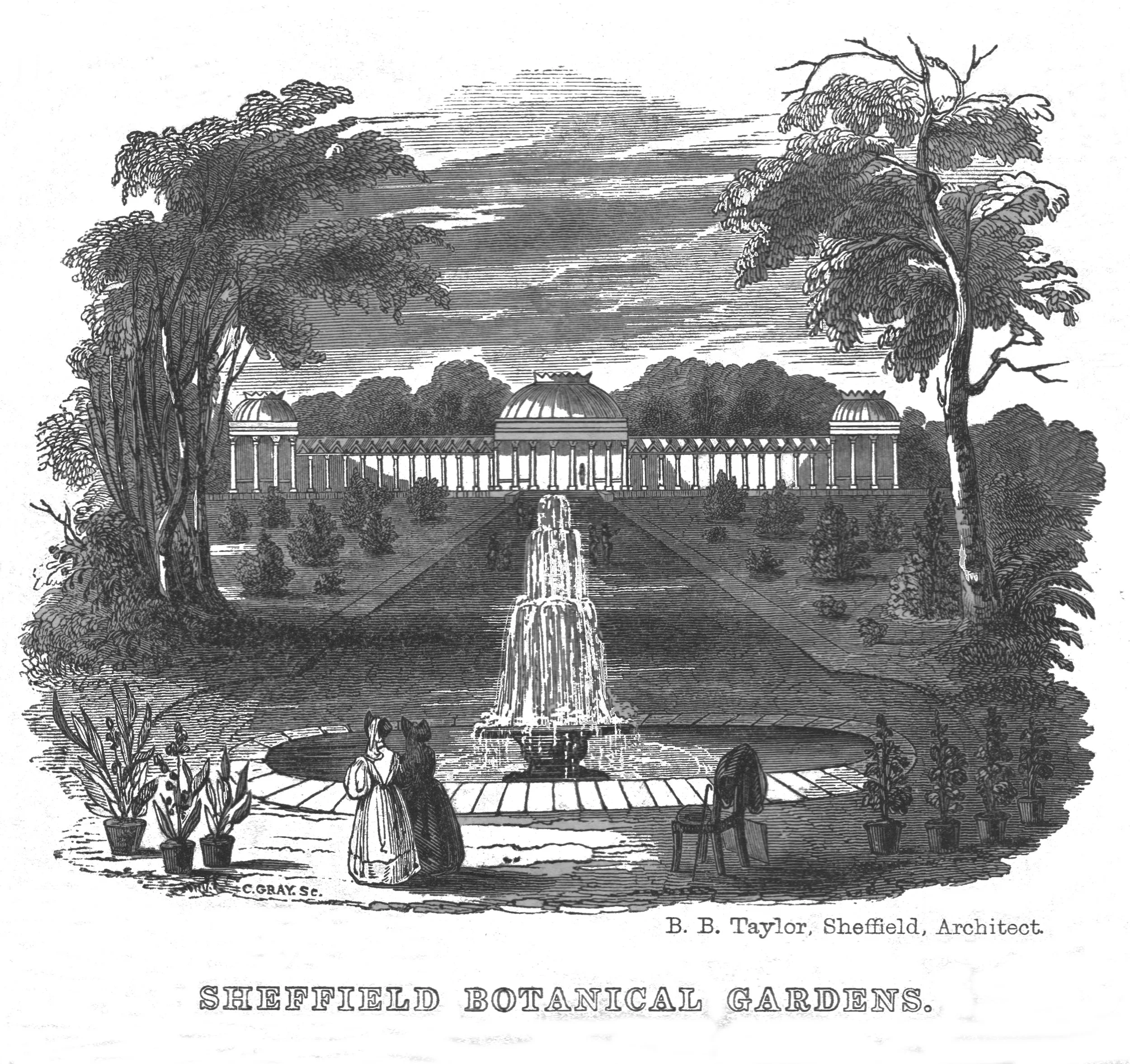 Introduction to Marnock — Sheffield Botanical Gardens Trust