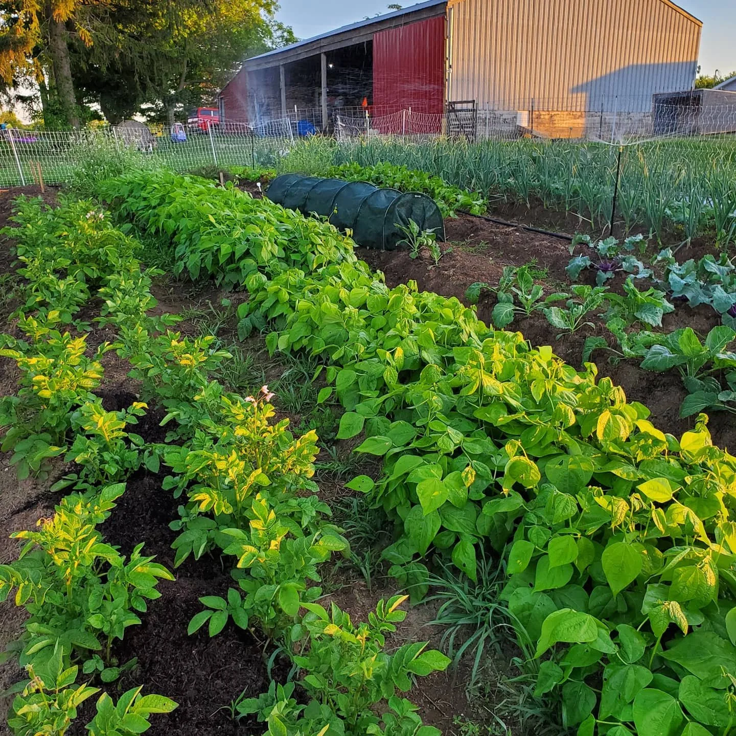 Truest Farms