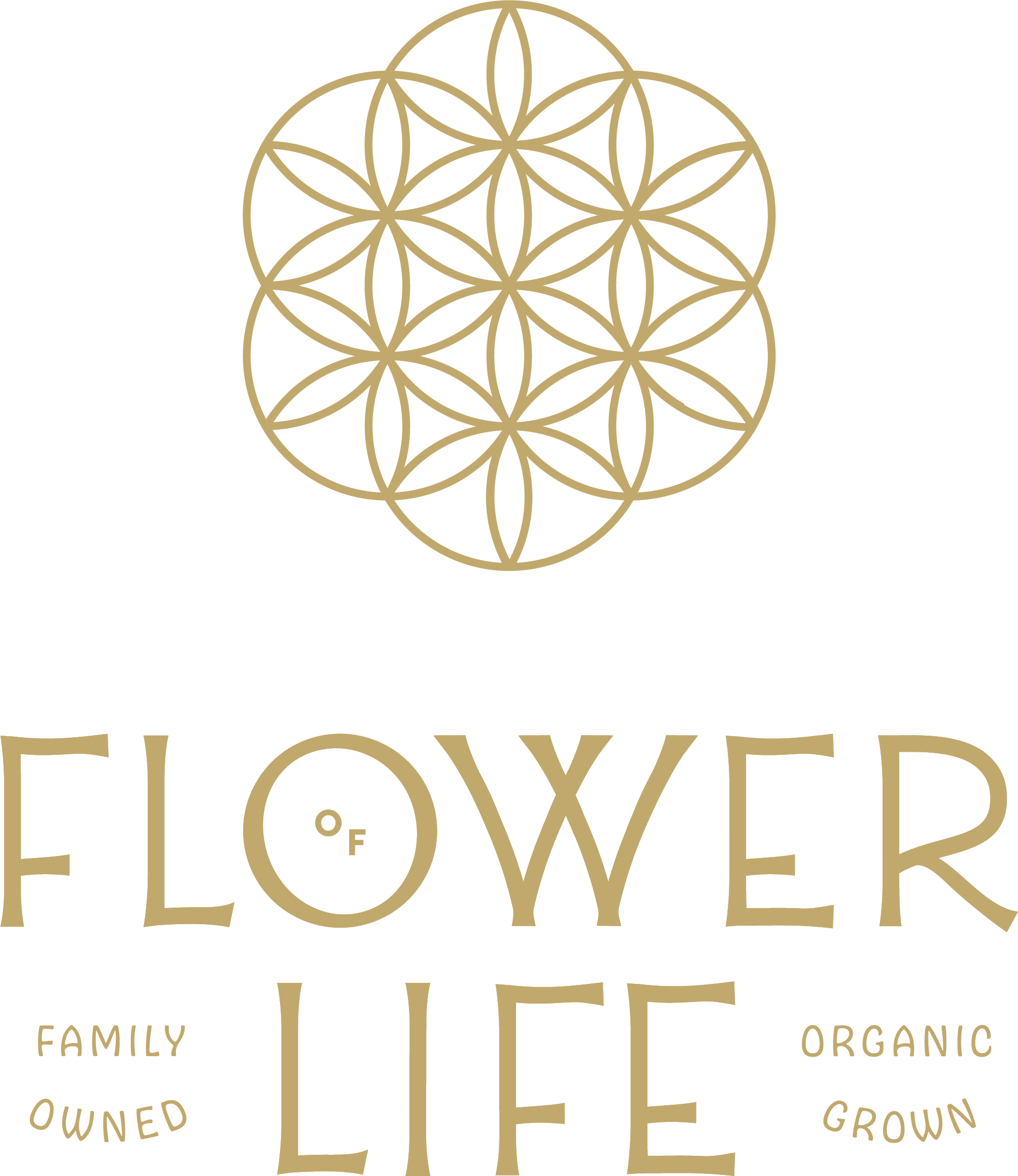 Flower of Life - Flint, MI