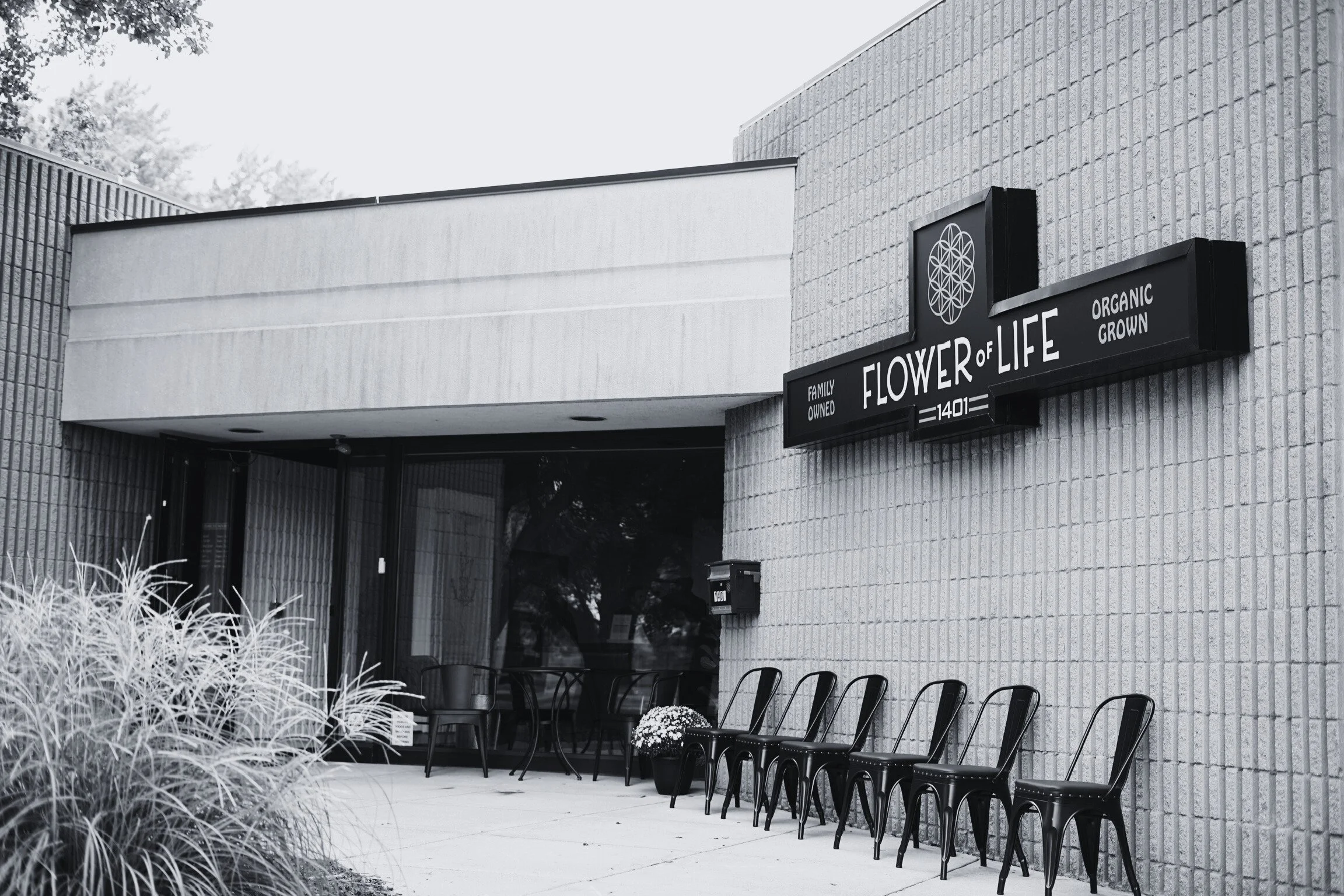 Flower of Life - Flint, MI