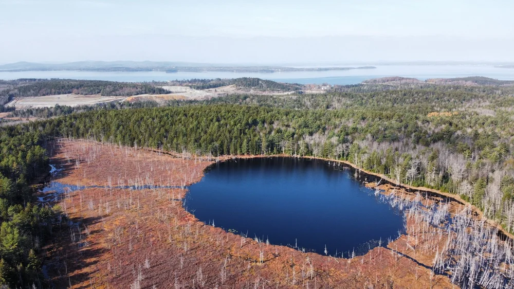 Plan Your Visit — Friends of Holbrook Island Sanctuary