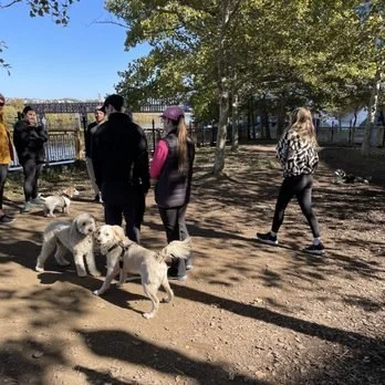 Celebrate National Dog Month By Taking Your Pup to Downtown’s Dog Park ...