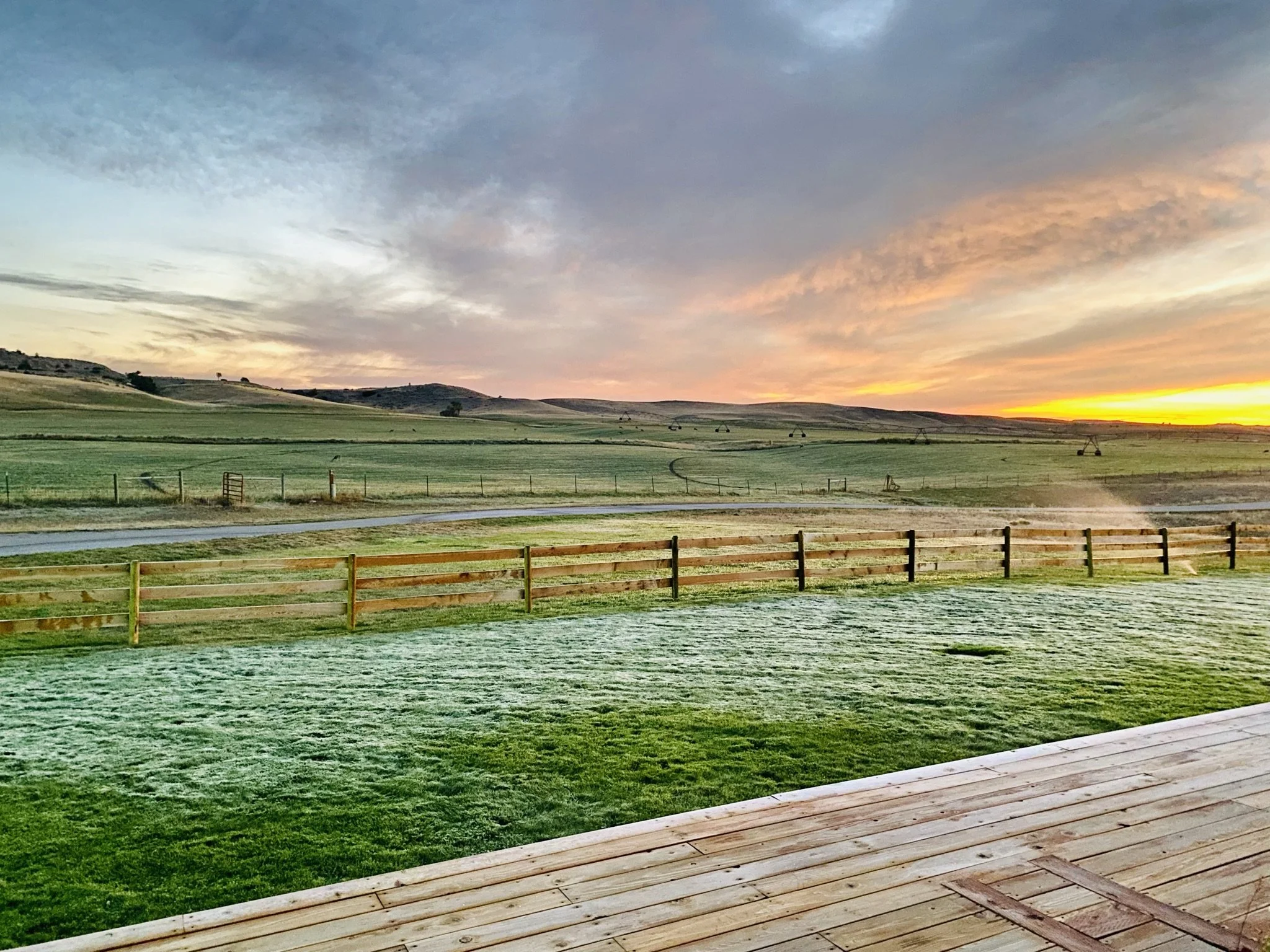 Hagerman Ranch | Montana Beef for Sale | Grass Raised Angus Beef ...