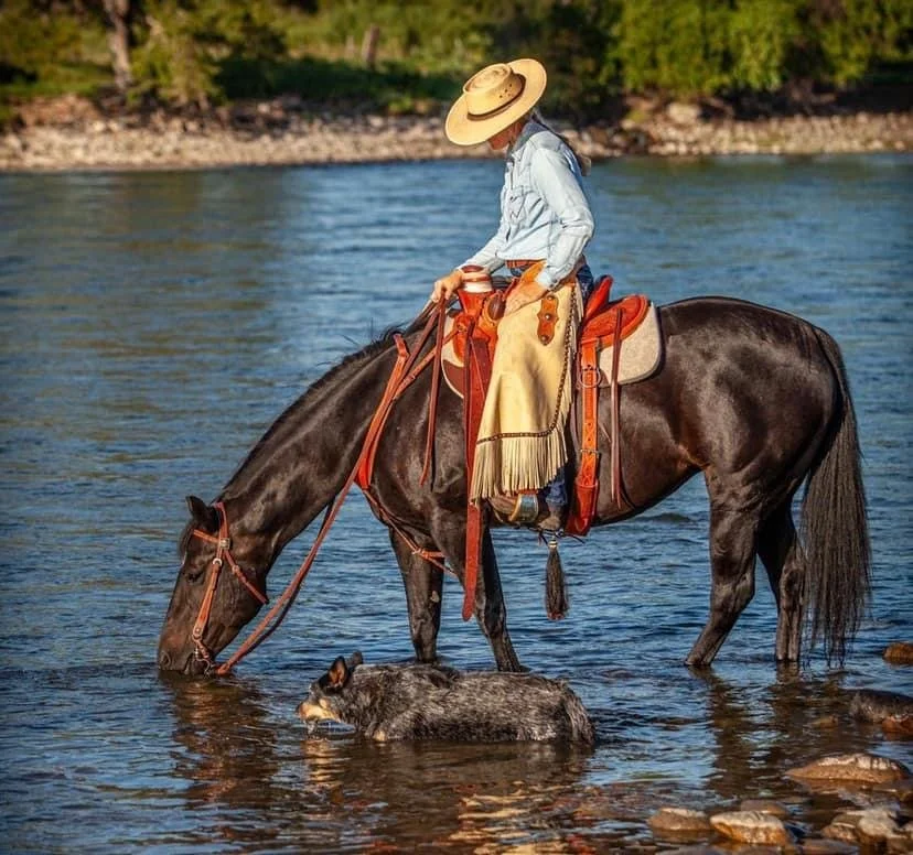 Hagerman Ranch | Grass Raised Angus Beef | Regenerative Practices