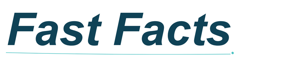 About — BeMore Accounting & Consulting