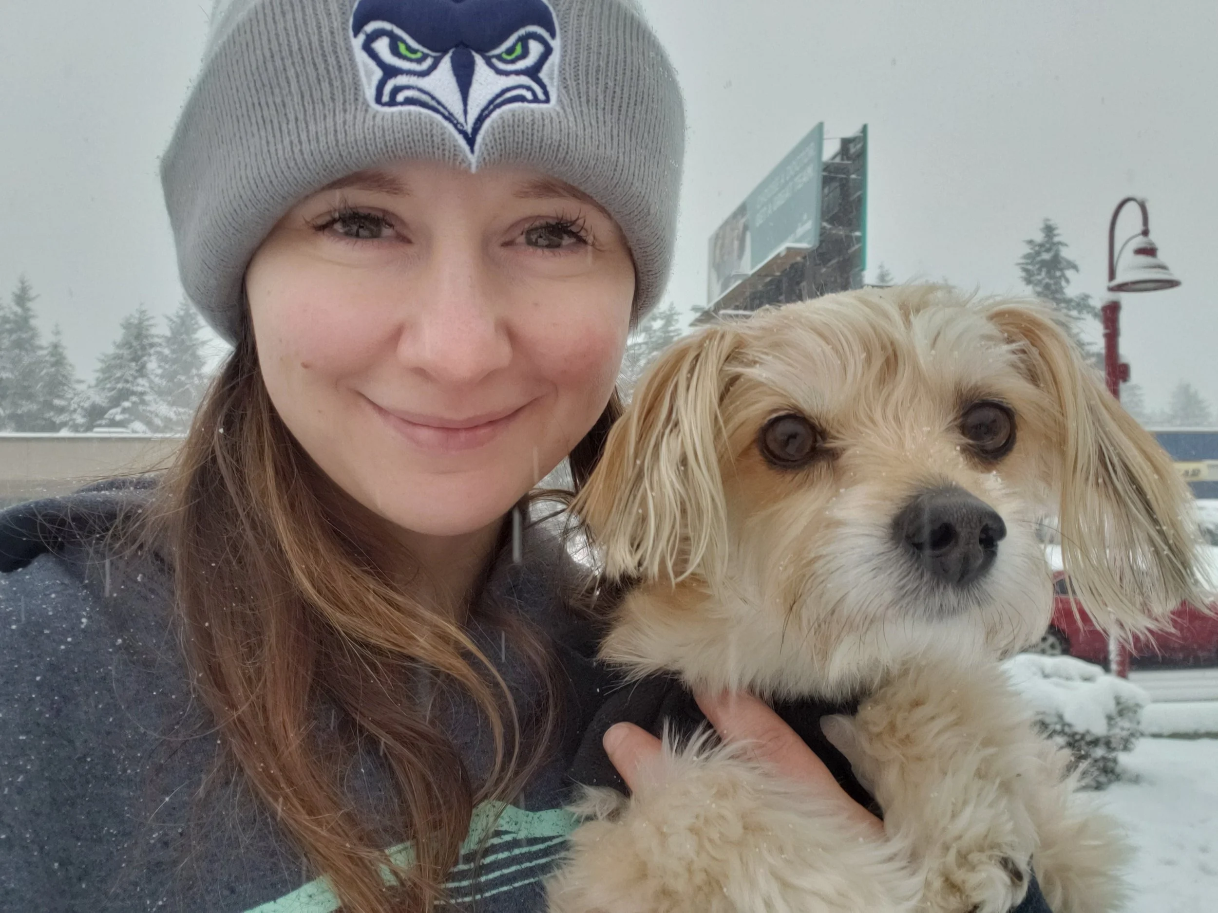 Pickle Crew — Pickles Playland