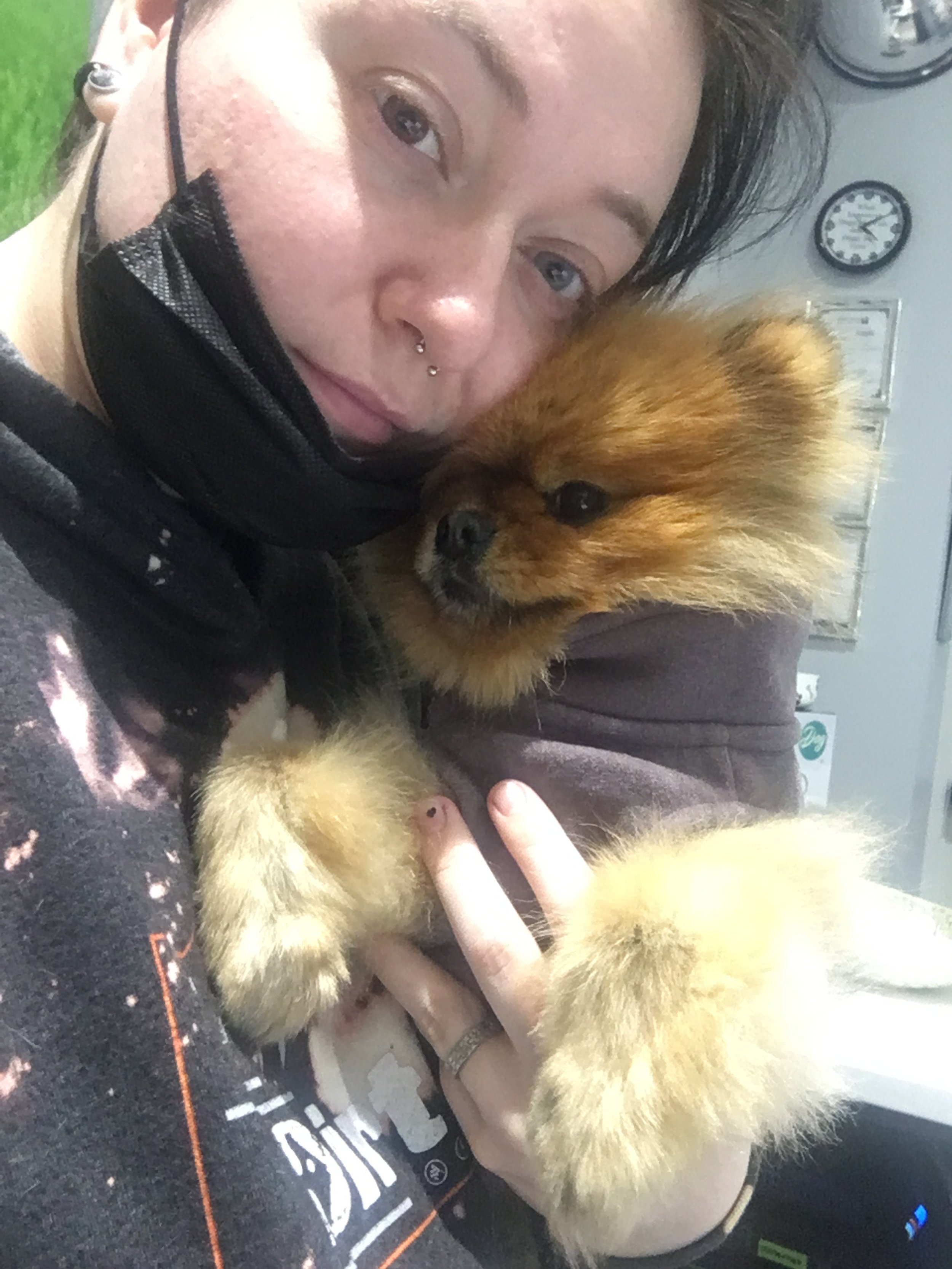 Pickle Crew — Pickles Playland