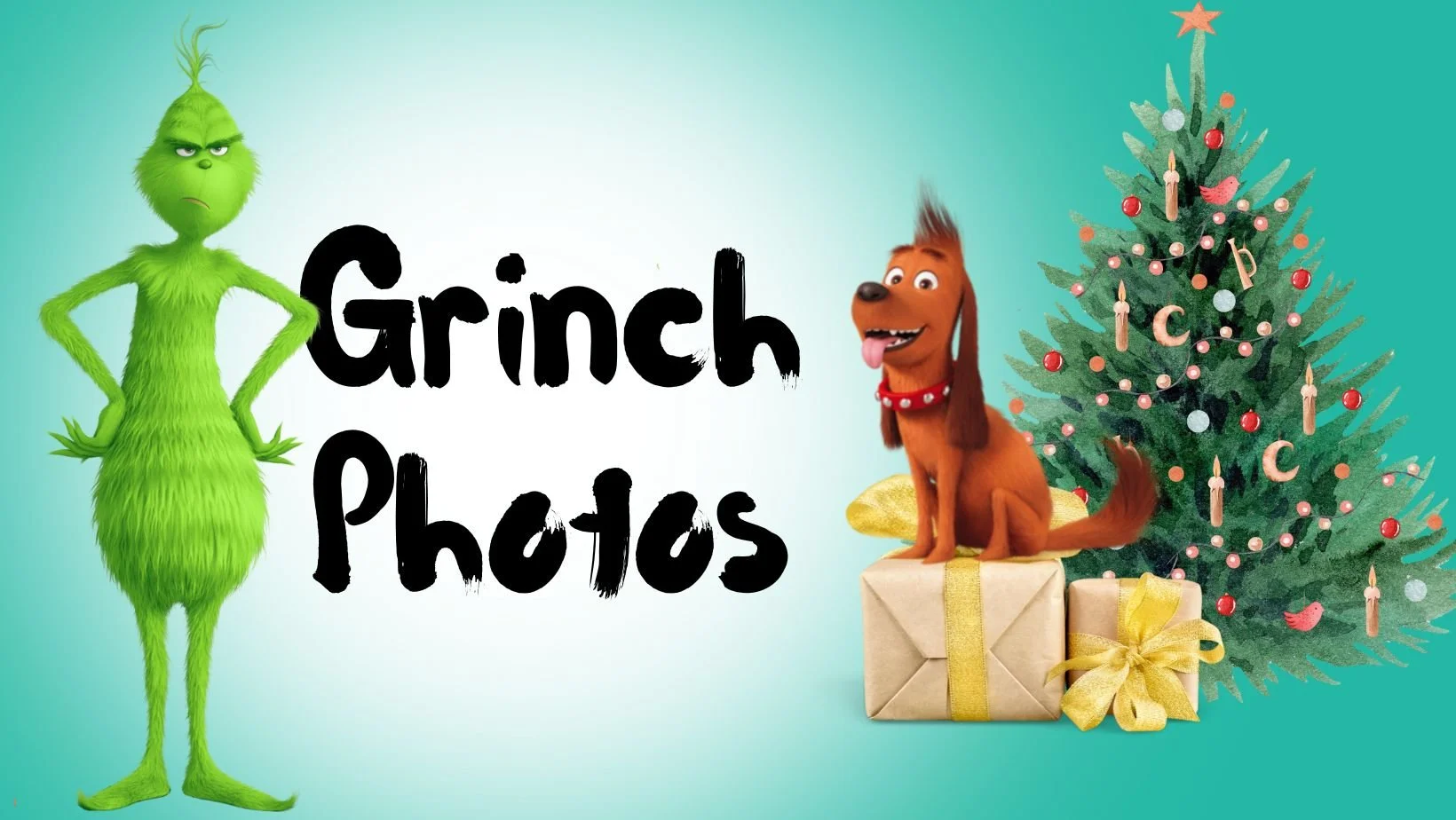 Grinch Photos with your dog (& you!) REDMOND & KIRKLAND — Pickles Playland