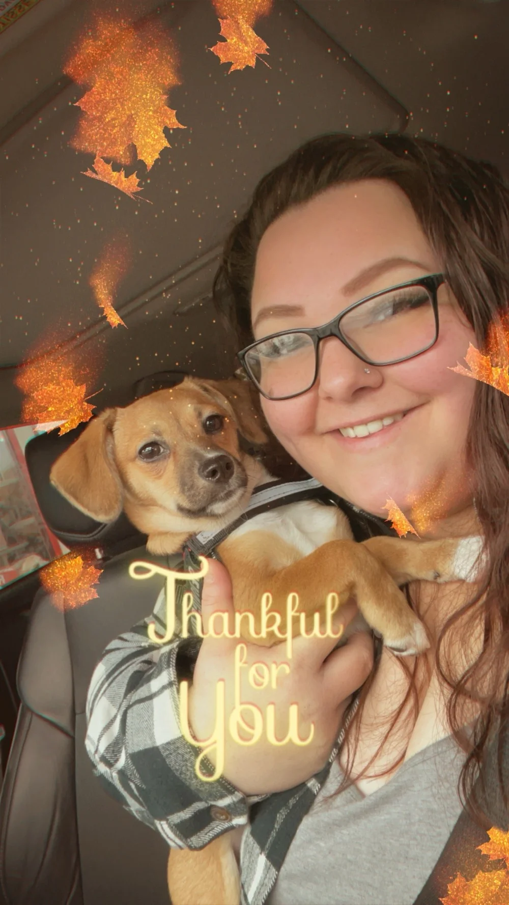 Pickle Crew — Pickles Playland