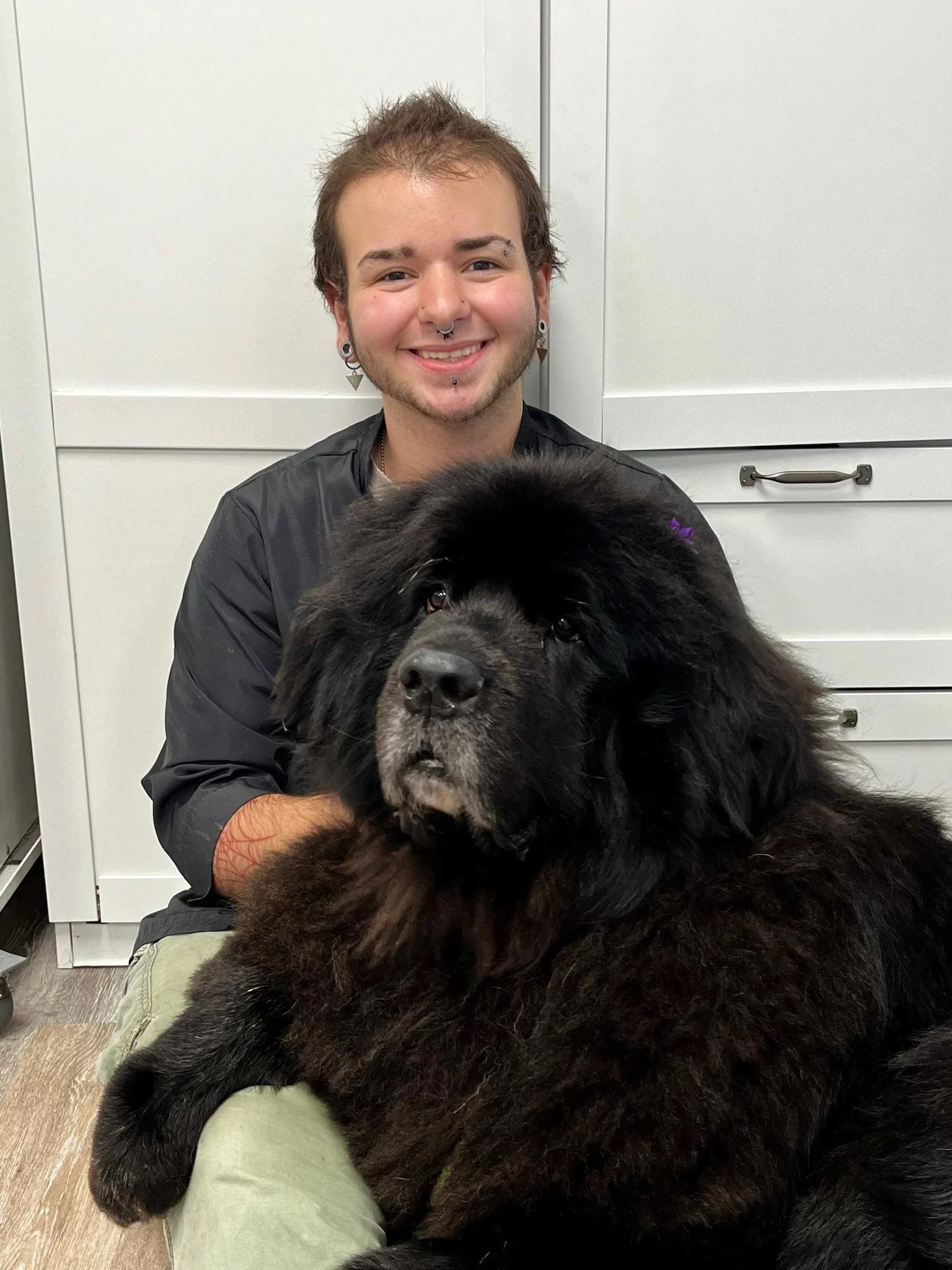 Pickle Crew — Pickles Playland