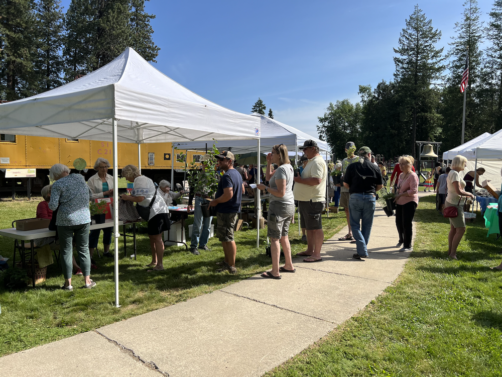 Native-Plant-Sale — KNPS