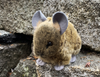 Adopt-A-Pika — Lassen Association | Peak Your Curiosity