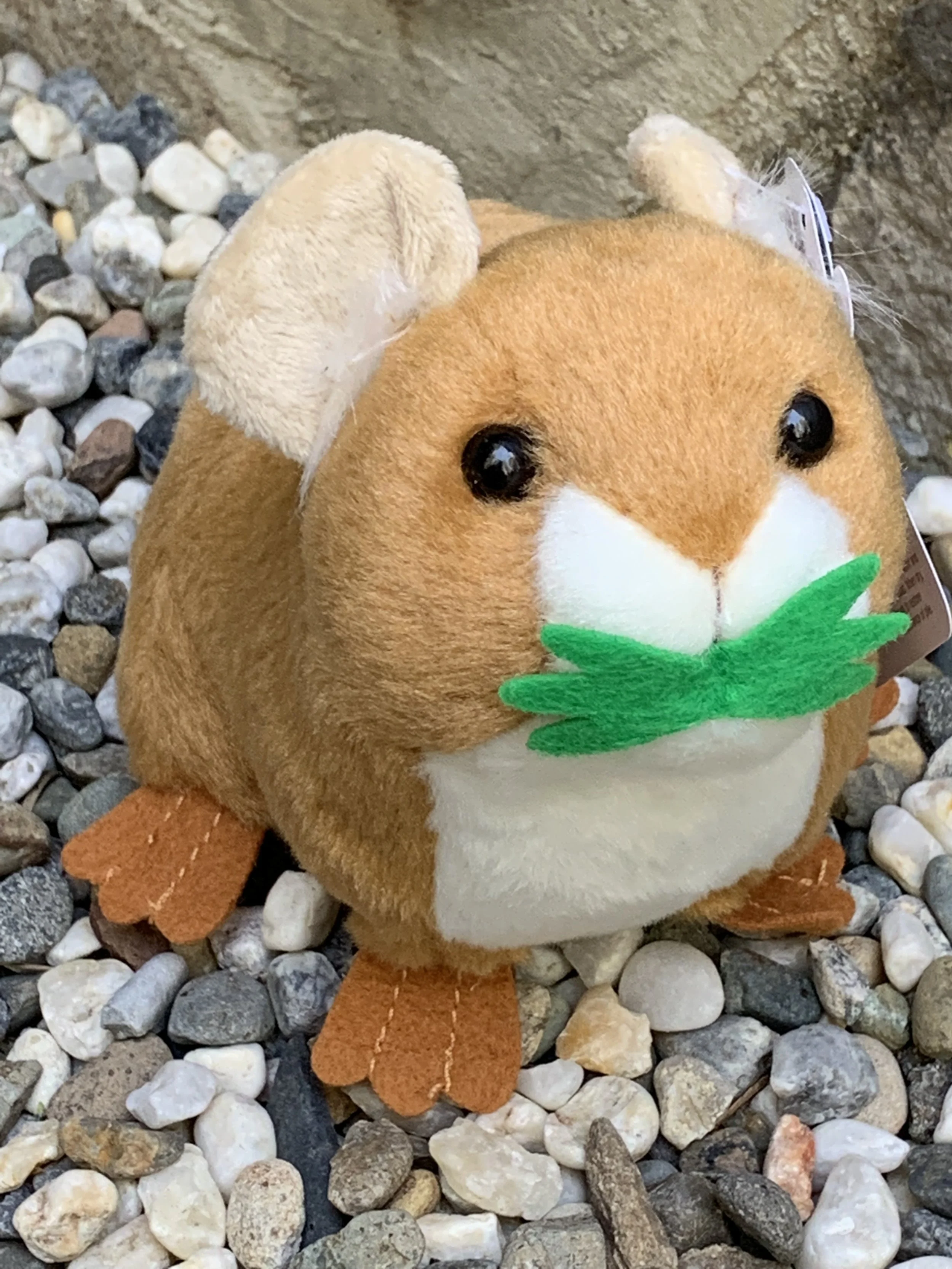 Adopt A Pika — Lassen Association | Peak Your Curiosity