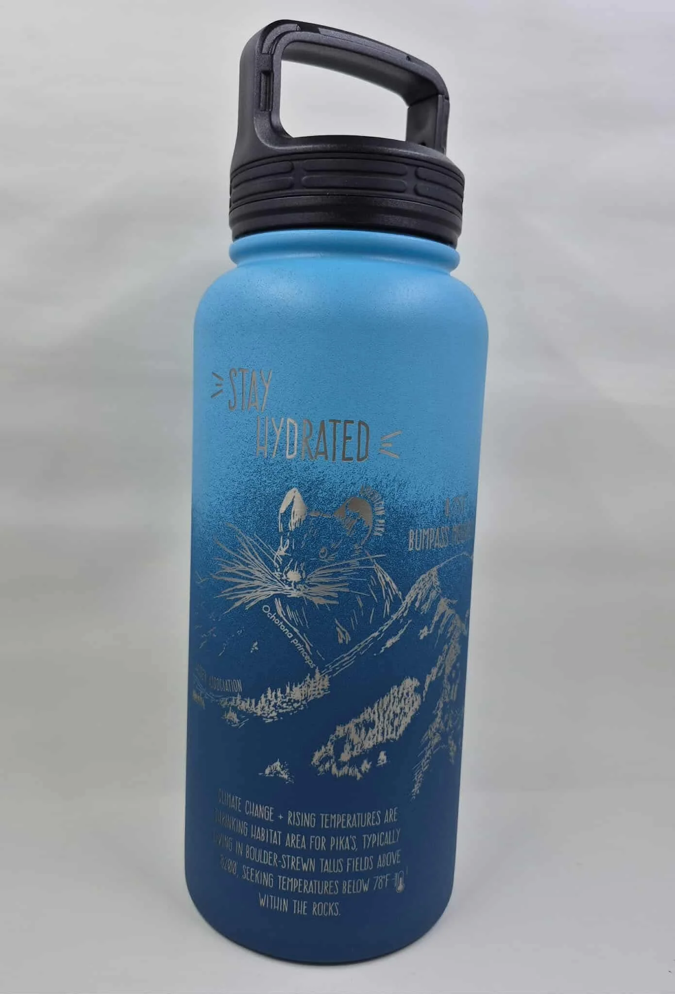 Adopt-A-Pika — Lassen Association | Peak Your Curiosity