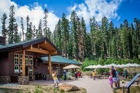 Adopt-A-Pika — Lassen Association | Peak Your Curiosity