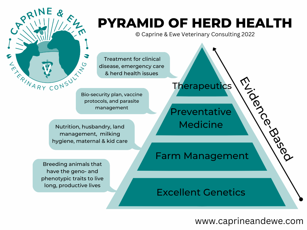 About — Caprine & Ewe Veterinary Consulting, PC