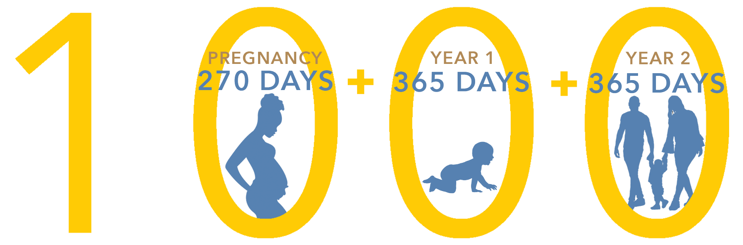 A Journey of a Thousand Days — Maternal Life International