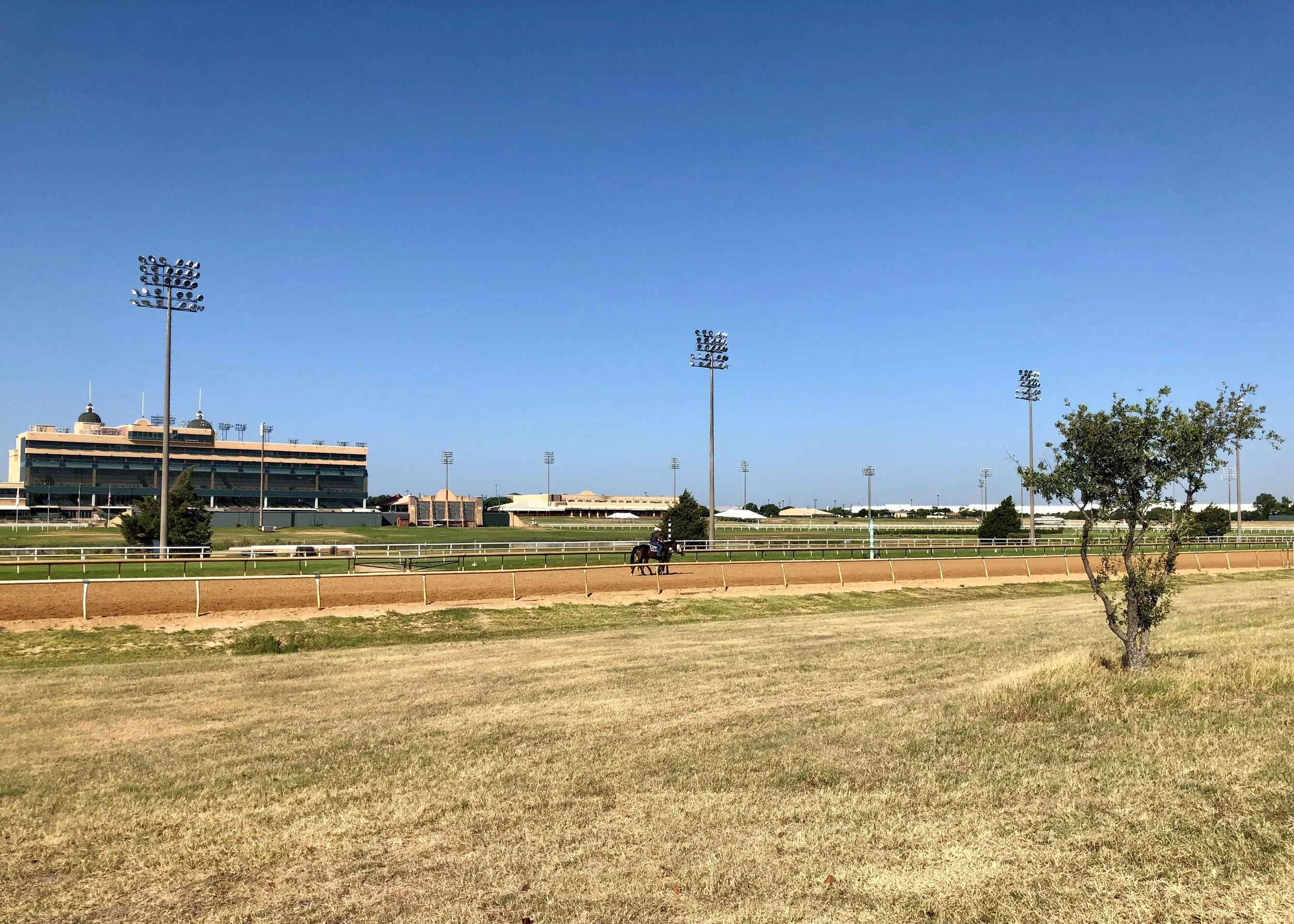 Licensing — TEXAS RACING COMMISSION (TXRC)