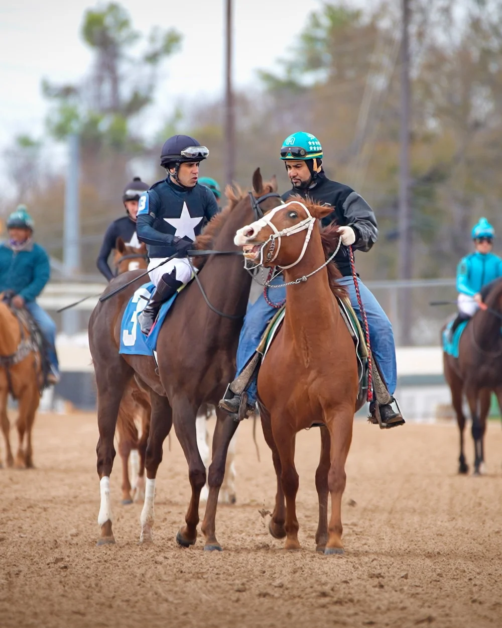 Careers — TEXAS RACING COMMISSION (TXRC)