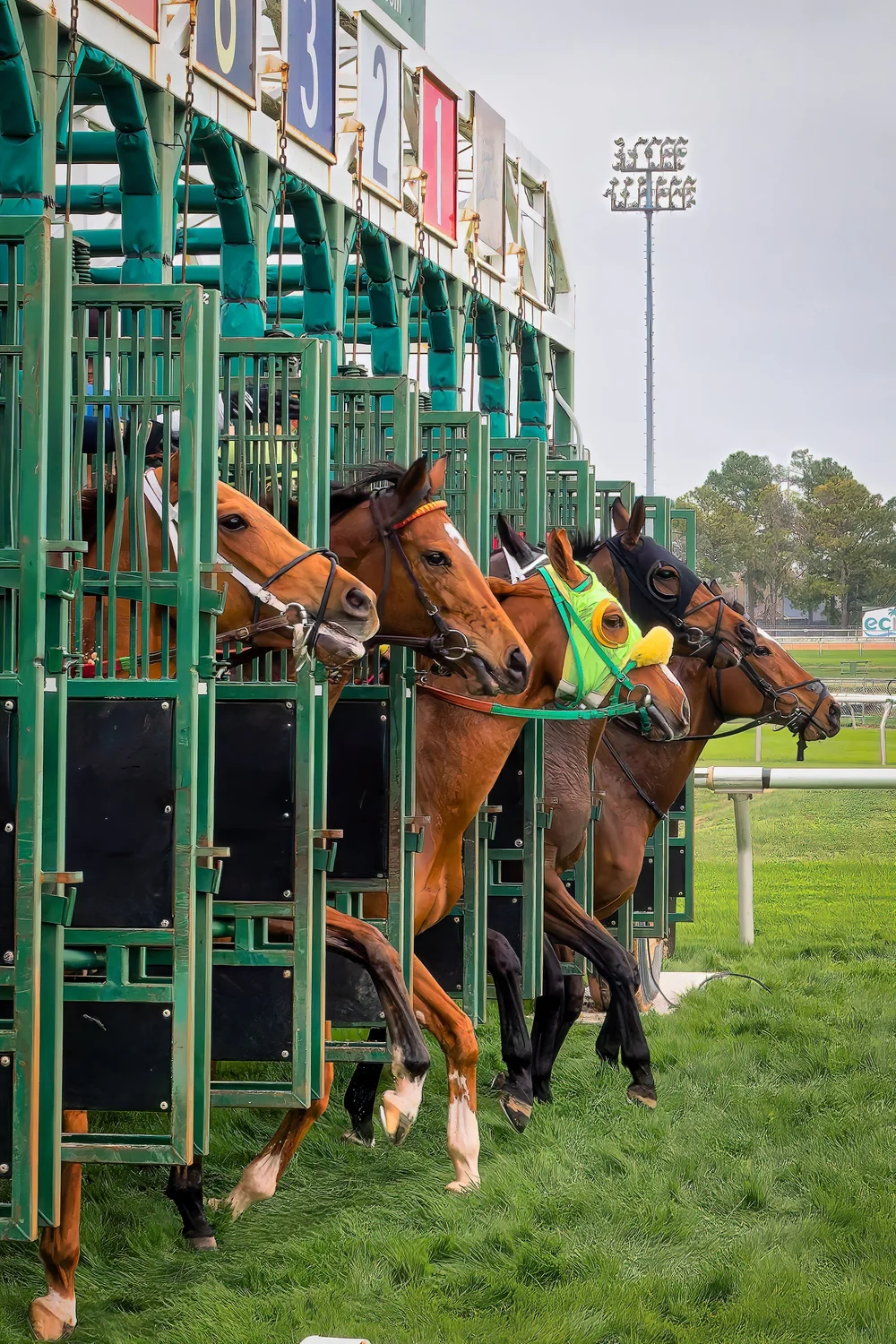Careers — TEXAS RACING COMMISSION (TXRC)