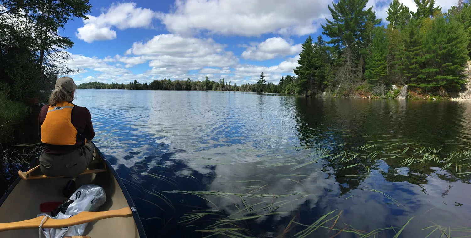 Join Team Jenn — Jenn Hill for State Representative